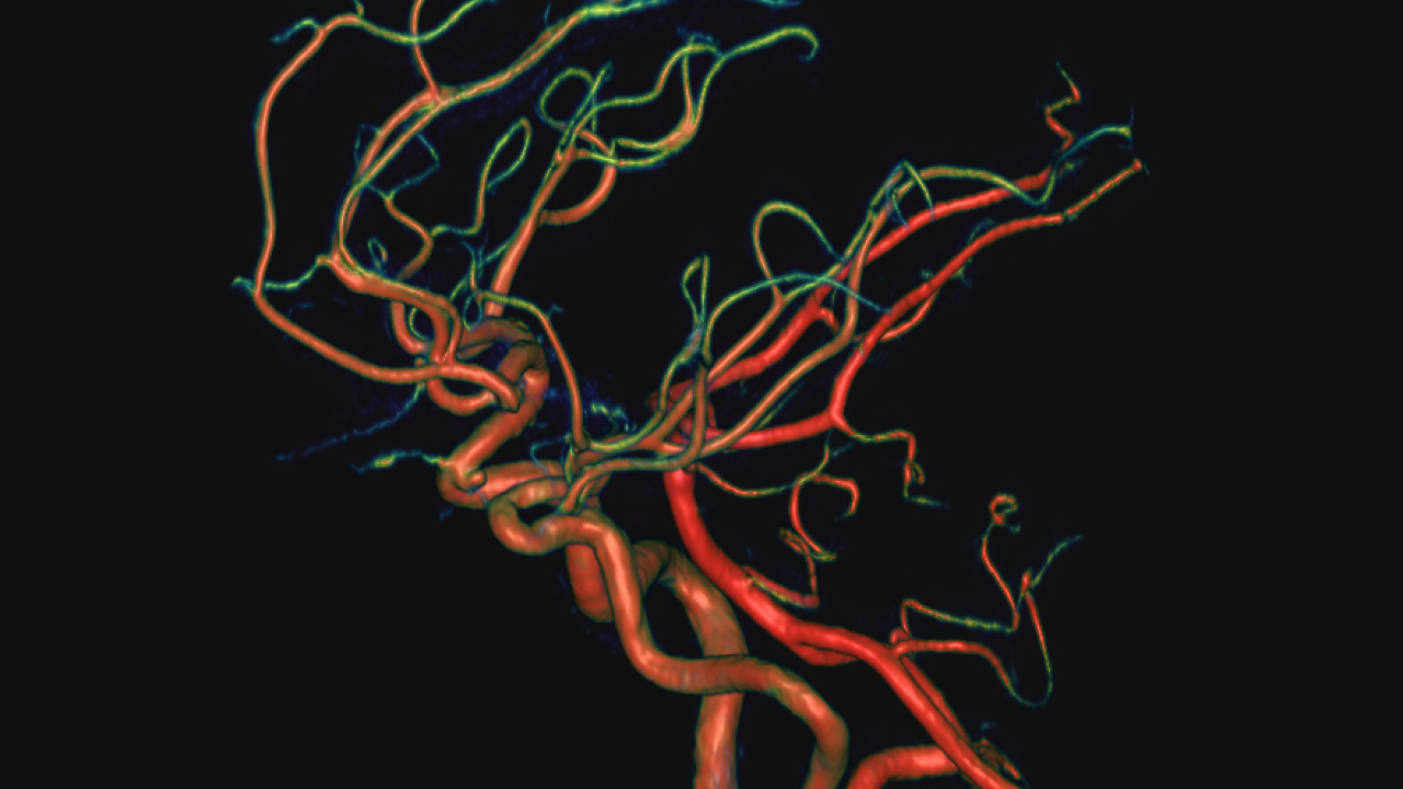 3D Lab Team | Columbia Radiology | Columbia Department of Radiology