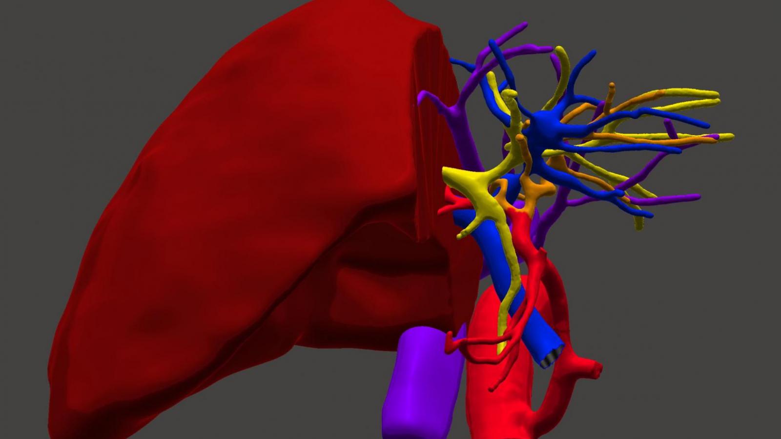 3D Lab Team | Columbia Radiology | Columbia Department of Radiology