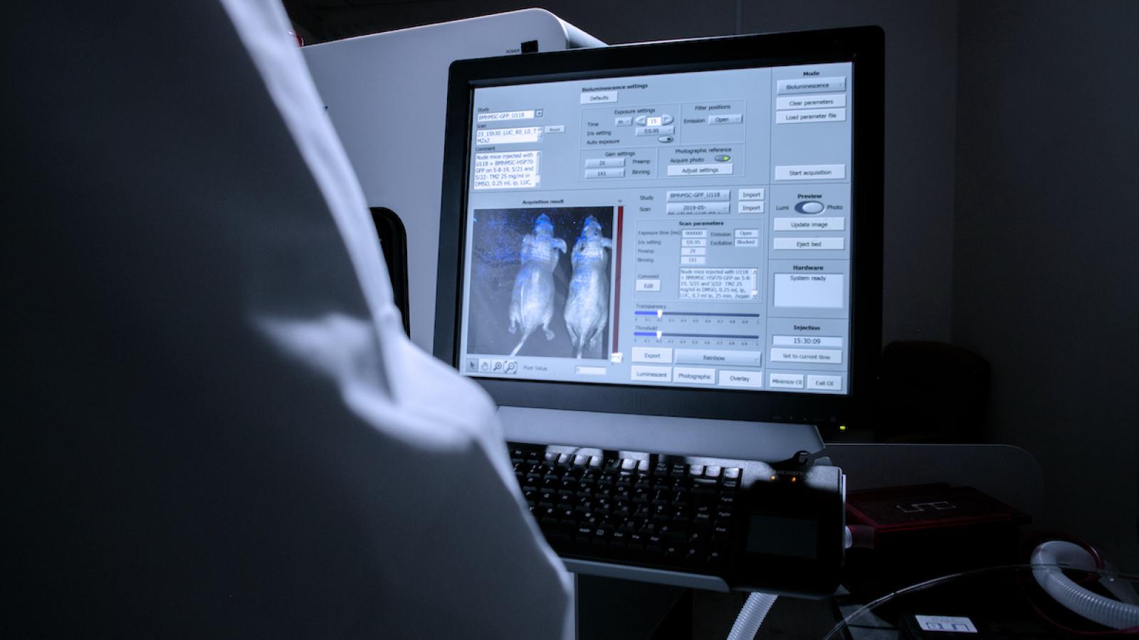 Residency Research Opportunities | Columbia Radiology | Columbia ...